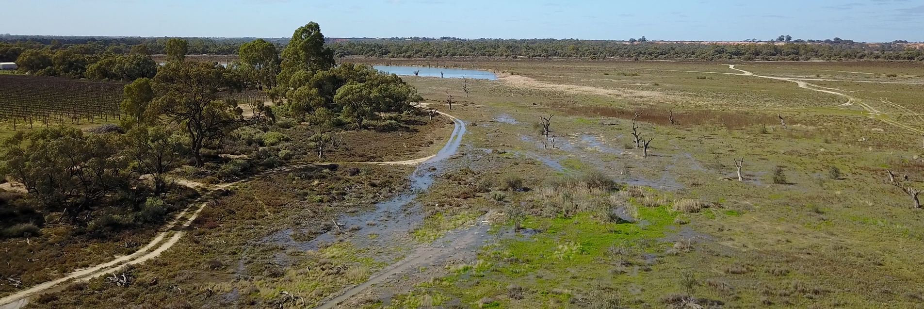 Water for the Environment - Renmark Irrigation Trust