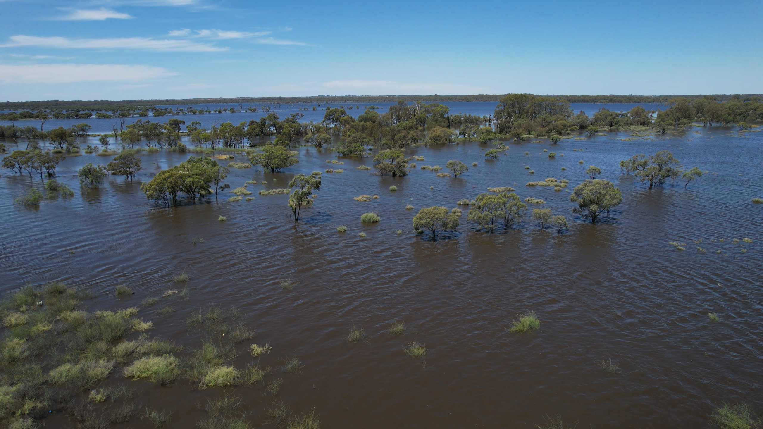 Murray-Darling Basin Plan Review – Renmark meeting – Renmark Irrigation ...