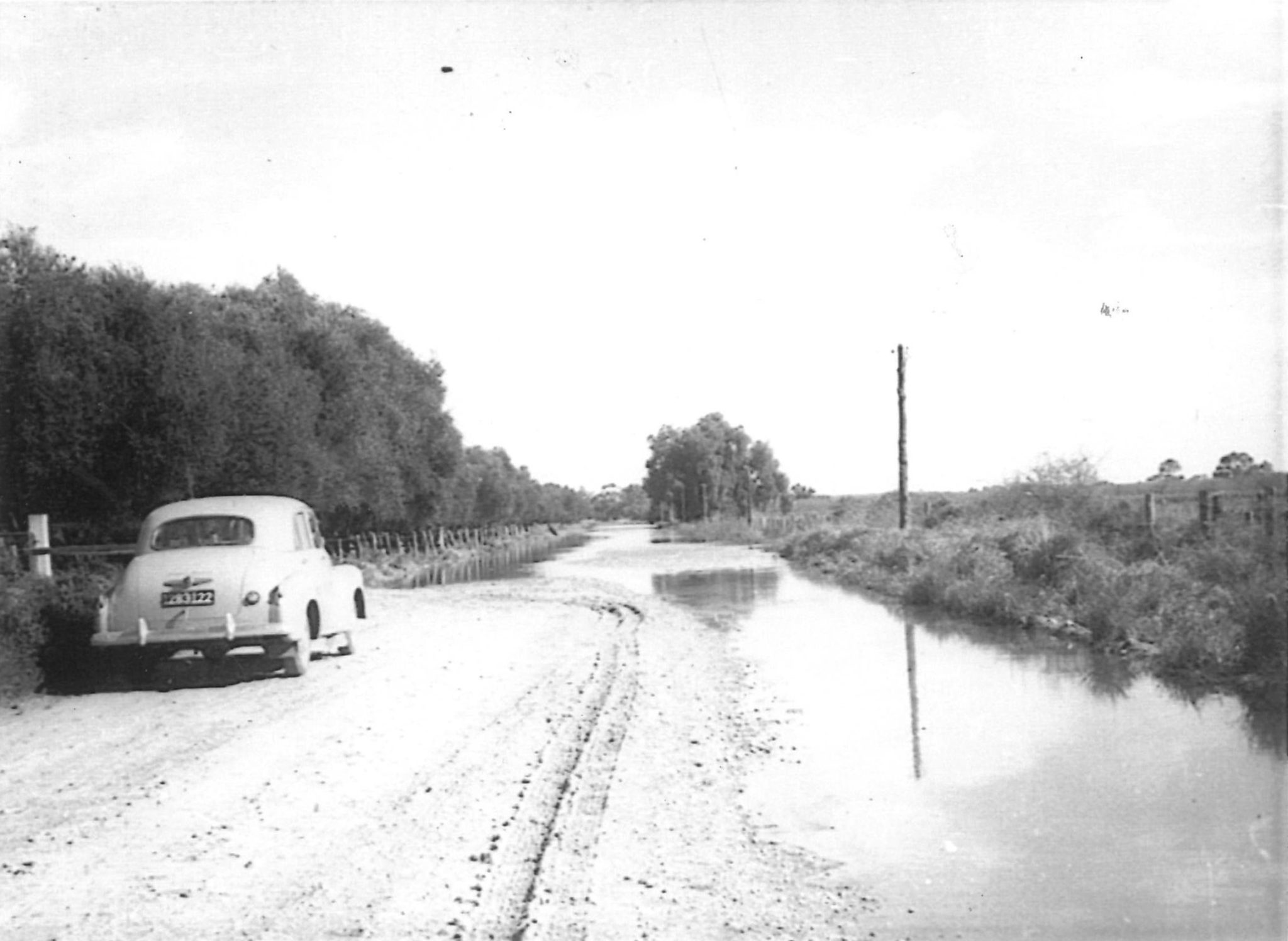RIT and the 1956 Flood - Renmark Irrigation Trust